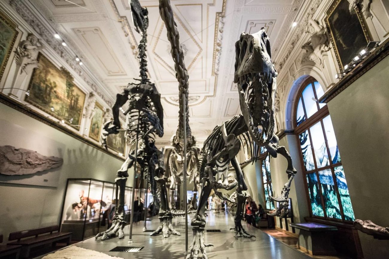 2 Days in Vienna - The Perfect Vienna Itinerary + Map and Tips!