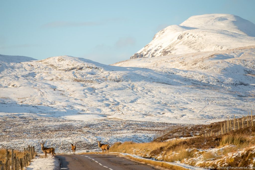 Scotland in Winter: Things to Do, Planning Advice, Tips and More!