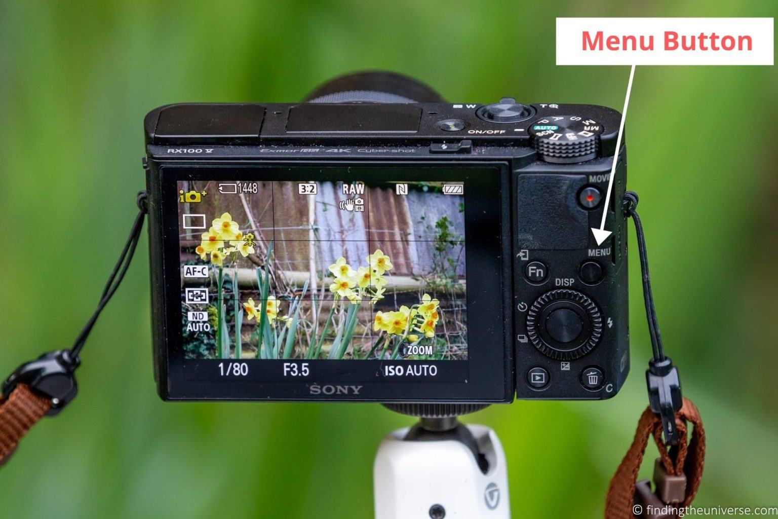How to Use a Point and Shoot Camera - A Detailed Guide to Compact ...