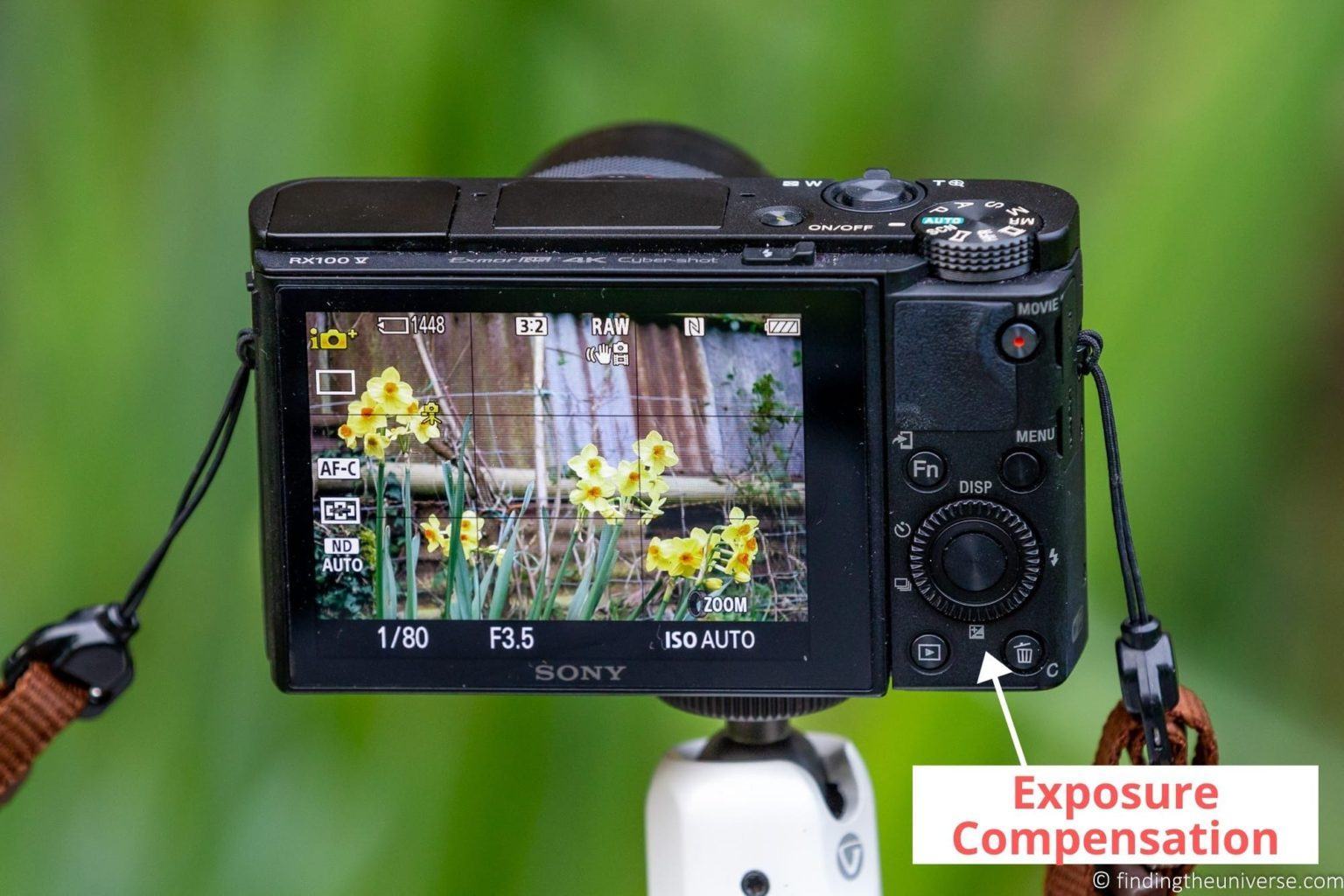 How to Use a Point and Shoot Camera - A Detailed Guide to Compact ...