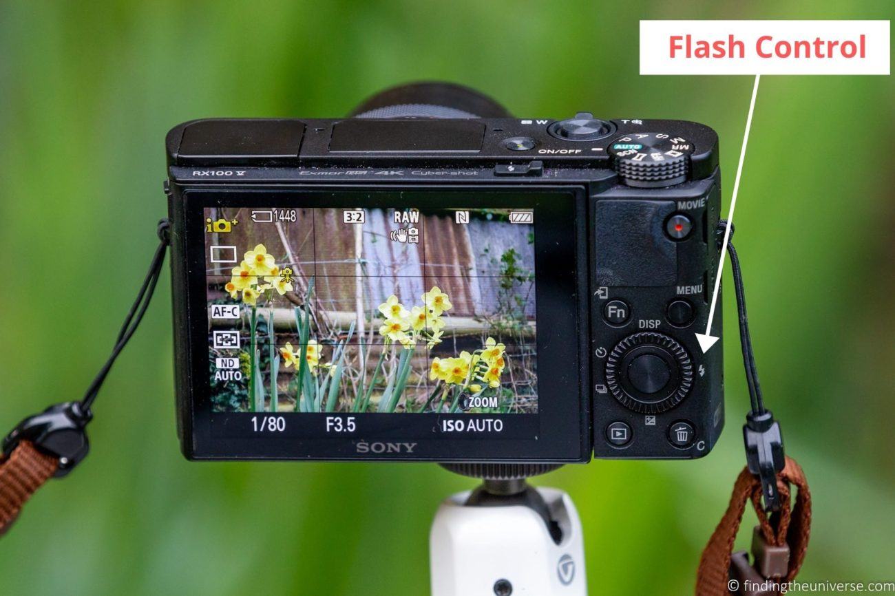 How to Use a Point and Shoot Camera - A Detailed Guide to Compact ...