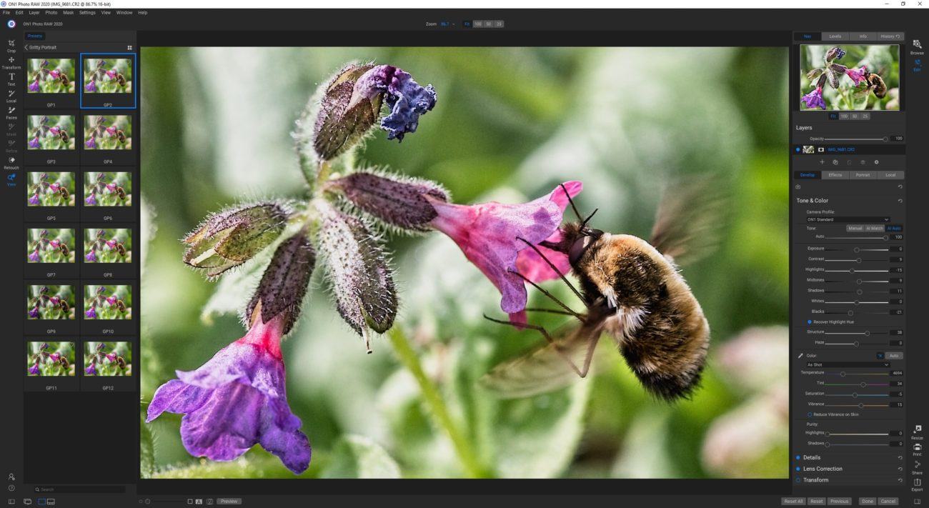 Lightroom Alternatives: The Best Alternatives to Lightroom