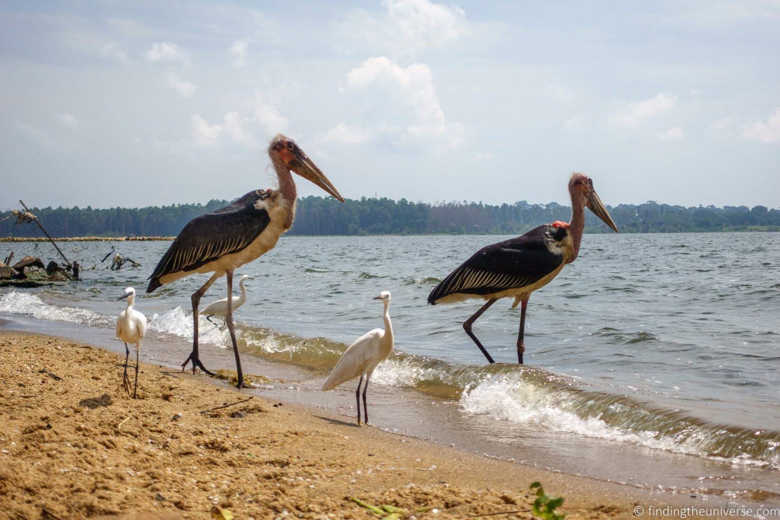 15 Things to do in Entebbe Uganda - Finding the Universe