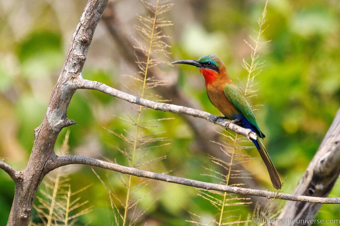 Heat Haze in Photography - What It Is, How to Avoid It and How to Fix It