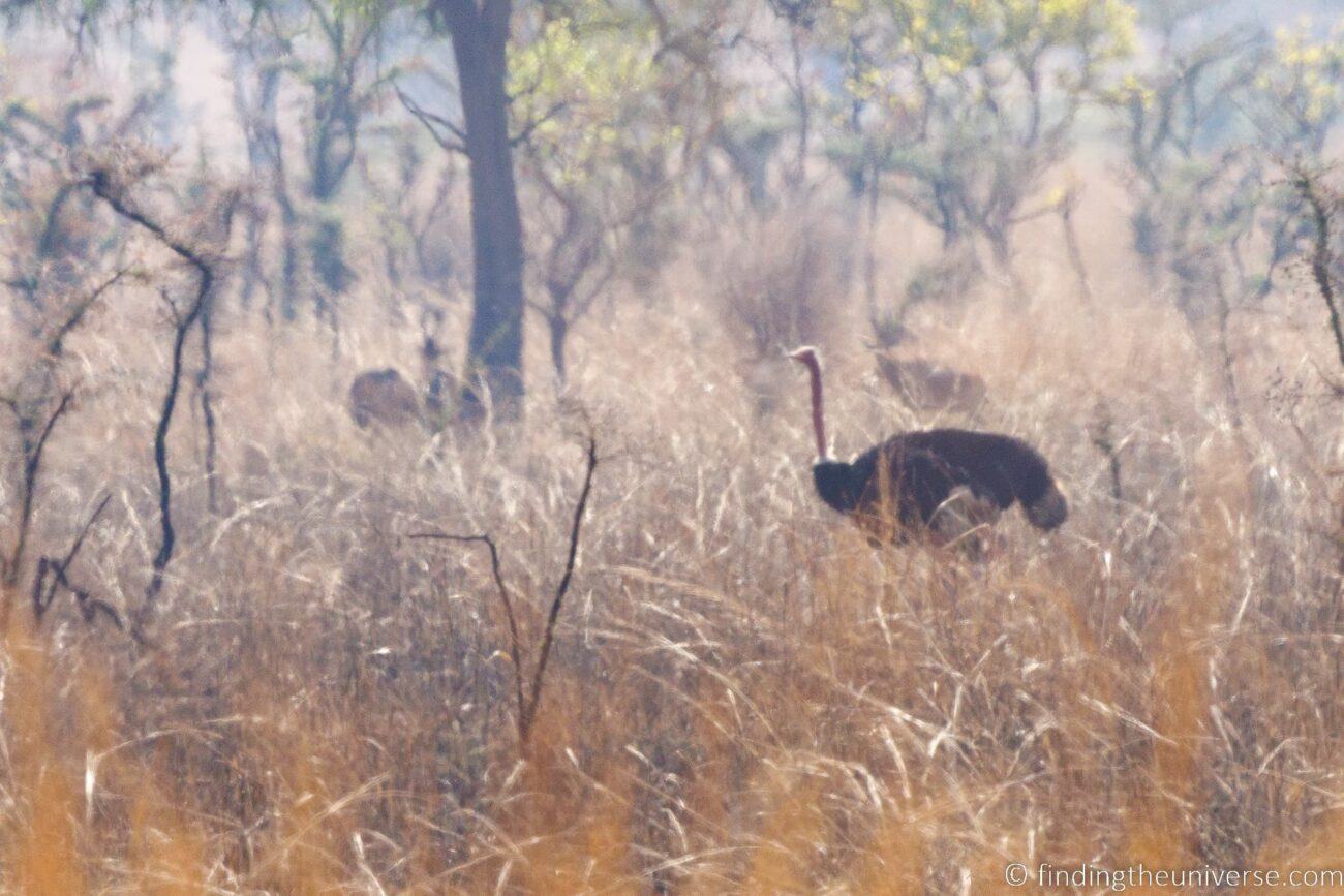 Heat Haze in Photography - What It Is, How to Avoid It and How to Fix It