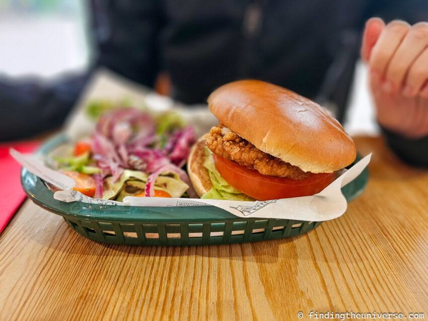 Tips for Visiting Alton Towers - Finding the Universe